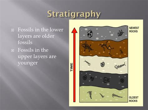 Stratigraphy The Study Of Layers Of The Earths Crust Ppt Download