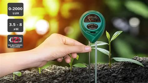 Best Gardening Tools To Start Your Dream Garden Explained