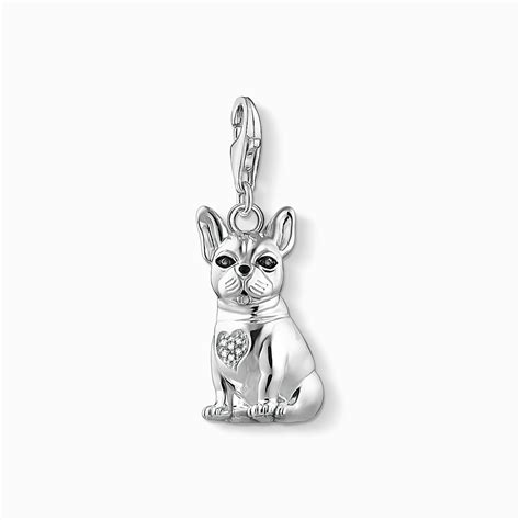 Silver French Bulldog