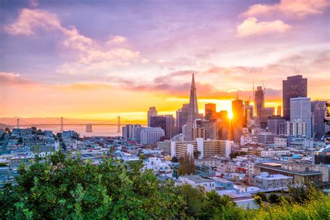 San Francisco County Y Realty