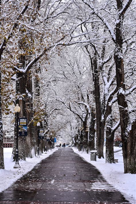 Haley Lyons Lyonshaley Twitter