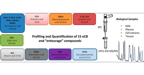 Development And Validation Of A Sensitive Uplc Esi Msms Method For The Simultaneous