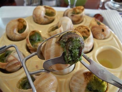 Escargots De Bourgogne Escargot World