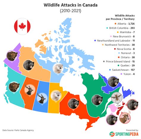 Grizzly Bear Most Dangerous Animal In Bc