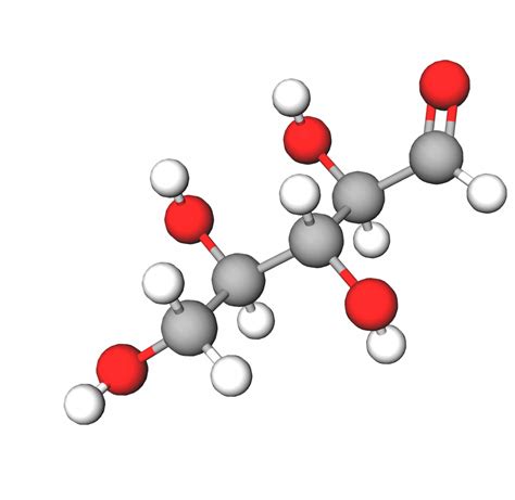Ribose Cosmetic Ingredients Guide