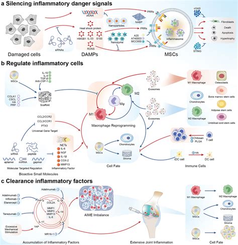 Designing Materials That Can Guide Stem Cell Fate A Silencing The Download Scientific Diagram