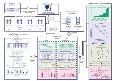 Koslicki Lab Tutorial Assessing Metagenomics Software With The Cami Benchmarking Toolkit