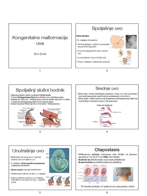 Kon Anomalije Strana Tijela Povrede Uva Pdf