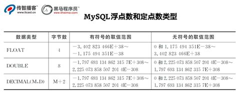 MySQL数据类型之浮点数类型和定点数类型介绍
