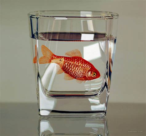 Fish In Glass Hyper Realistic Painting By Young Sung 3 Preview