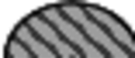 Space Time Diagram Of The Matter Wave Interferometer Used To Measure