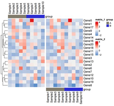 R语言complexheatmap热图的拼接 知乎
