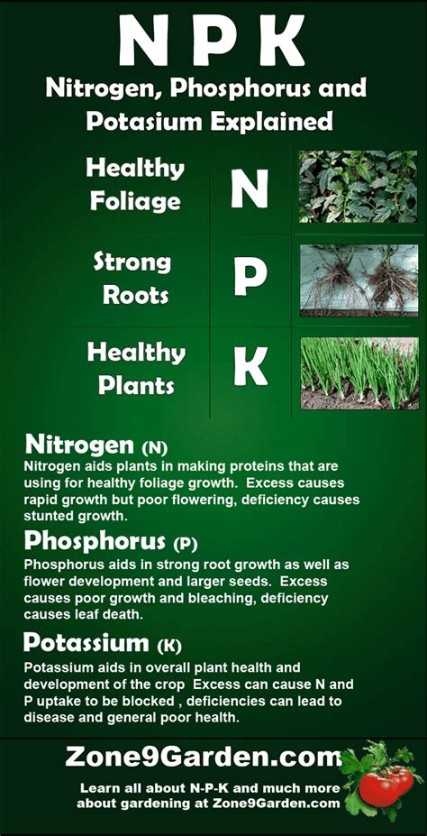 NPK – Nitrogen Phosphorus and Potassium Explained | Vegetable Garden Blog | Gardening tips ...