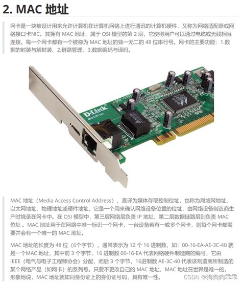 linux 网络编程基础 csdn博客