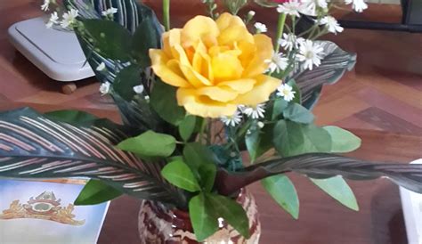 ပန္ းအလွဆင္ သူမ်ားစုစည္ း၇ာ