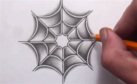 Spider Web Sketch At Explore Collection Of Spider
