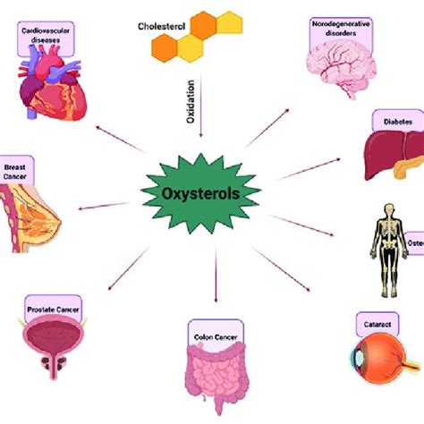 Oxysterols And Some Of The Related Diseases Download Scientific Diagram
