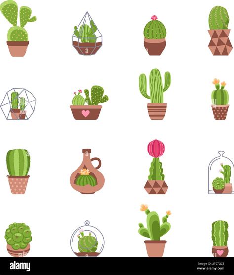 Different Types Of Cactus With Flowers Icons Set Isolated Vector