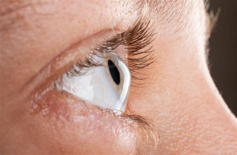Book Appointment Orange Park Oakleaf River City Vision Center