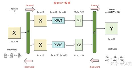 图解大模型训练之：张量模型并行tp，megatron Lm 知乎