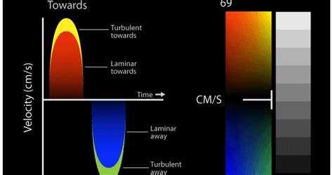 Er Goldbook Basic Echocardiography In Er