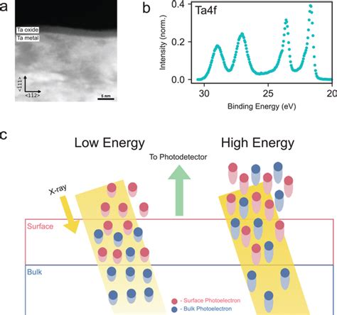 A High Angle Annular Dark Field Scanning Transmission Electron