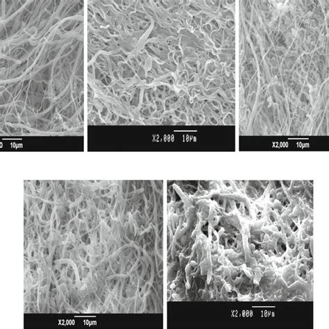 Stress Strain Curves Of Neat And Compatibilized Microfibrillar