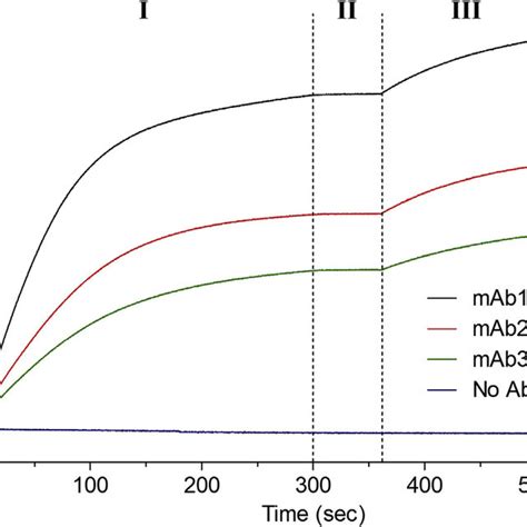 Pdf Characterization Of Antibody Antigen Interactions Using Biolayer Interferometry