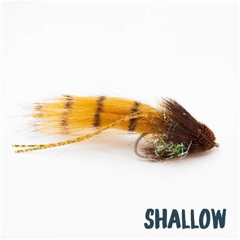 Modern Seaducer Bluelineco