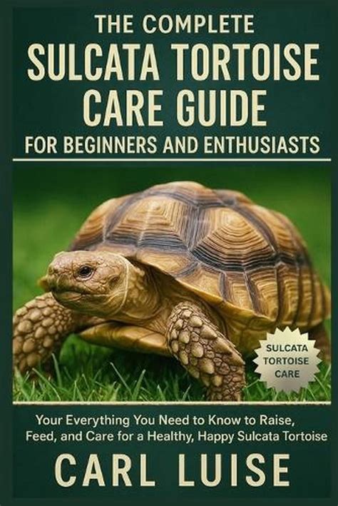 The Complete Sulcata Tortoise Care Guide For Beginners And Enthusiasts