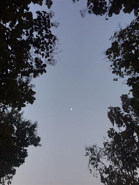 Bulan Kecil Sabit Foto Gratis Di Pixabay Pixabay