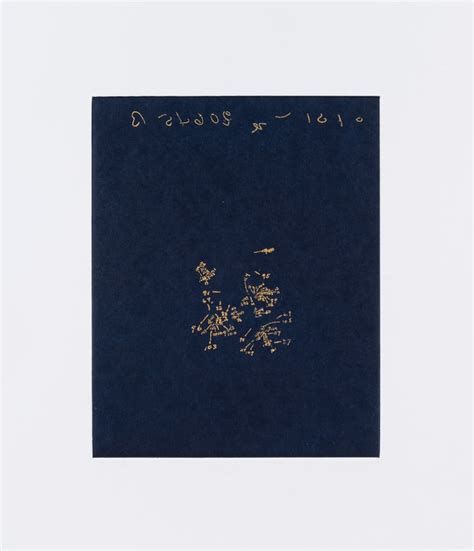 National Geographic Interviews Island Press Artist Erika Blumenfeld