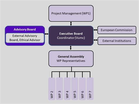 Management Structure Of Entire Download Scientific Diagram