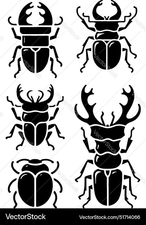 Beetles Silhouette Royalty Free Vector Image Vectorstock
