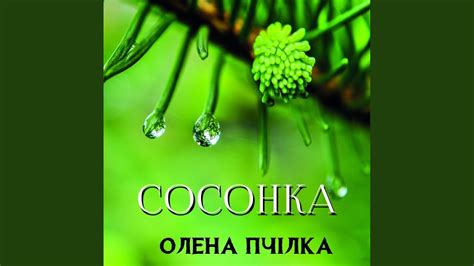 Сосонка Сосонка Youtube