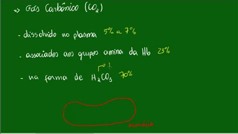 Sistema Respiratório Reações Da Hematose Aula 2 Youtube
