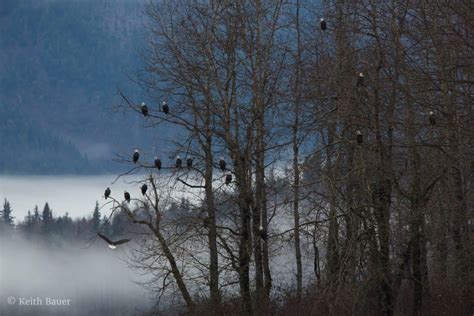 Including The Environment Context Matters Nature Photographers Network