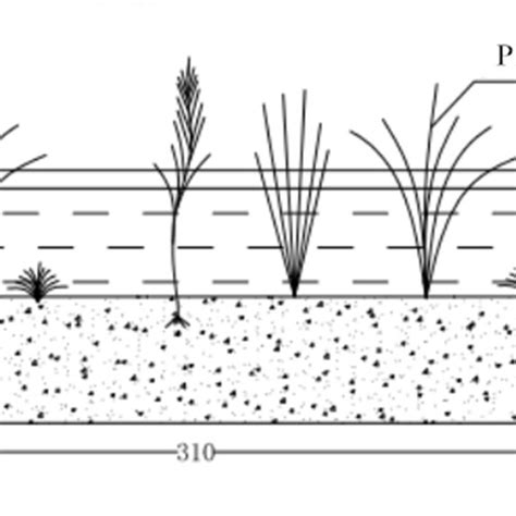 Simulated Free Water Surface Flow Cws Download Scientific Diagram
