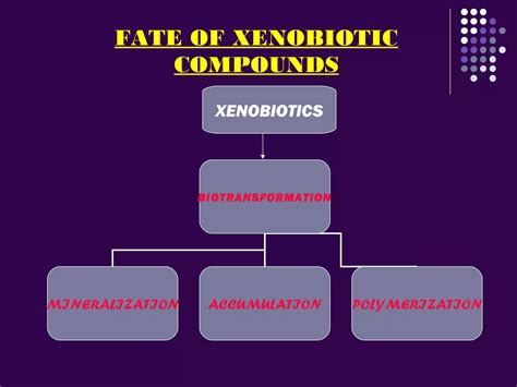 Biodegradation Of Hydrocarbon Ppt