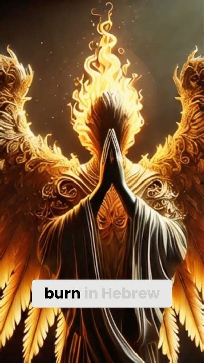 What Are Seraphim Angels The Burning Ones Explained Youtube