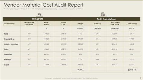 Supplier Material Cost Audit Report Ppt Powerpoint