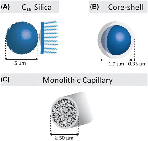 Schematics Of Various Stationary Phases Employed For Rplc Separation Download Scientific