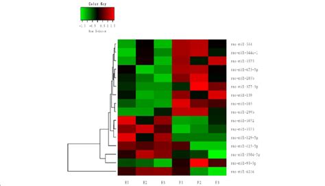 Unsupervised Hierarchical Cluster Analysis Of 16 Micrornas Mir