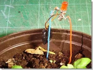 Simple Flower Watering Alarm Led Indicator Electronics Projects Circuits