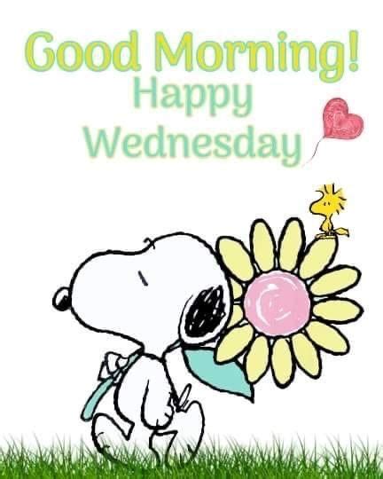 Happy Wednesday Snoopy