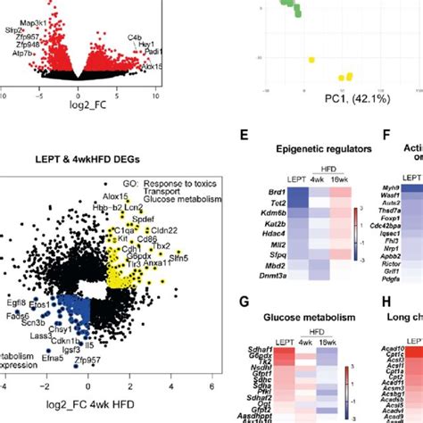 Pharmacologically Hyperleptinemic Mouse Model Shows Leptin Effects In