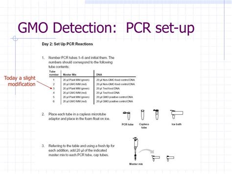 PPT - Today’s PCR: GMO Detection PowerPoint Presentation, free download - ID:355902