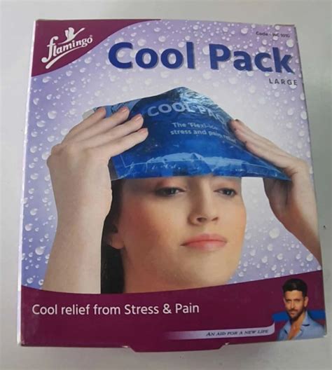 Flamingo Hc 1010 Cool Ice Pack At Rs 436piece Ice Packs In Pune Id 2852940298055