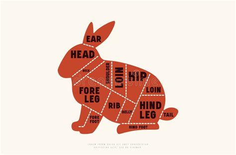 Rabbit Cuts Diagram In Silhouette Style Stock Vector Illustration Of