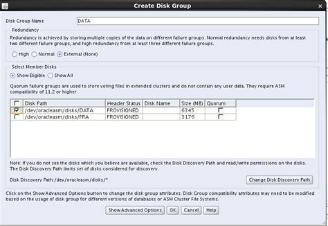Oracle Dba And Data Science Enthusiast Create Asm Diskgroups Using Asmca